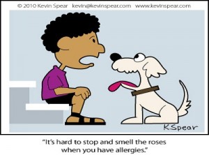 Seasonal Allergies and Speech Issues – Common Children’s Health Problems