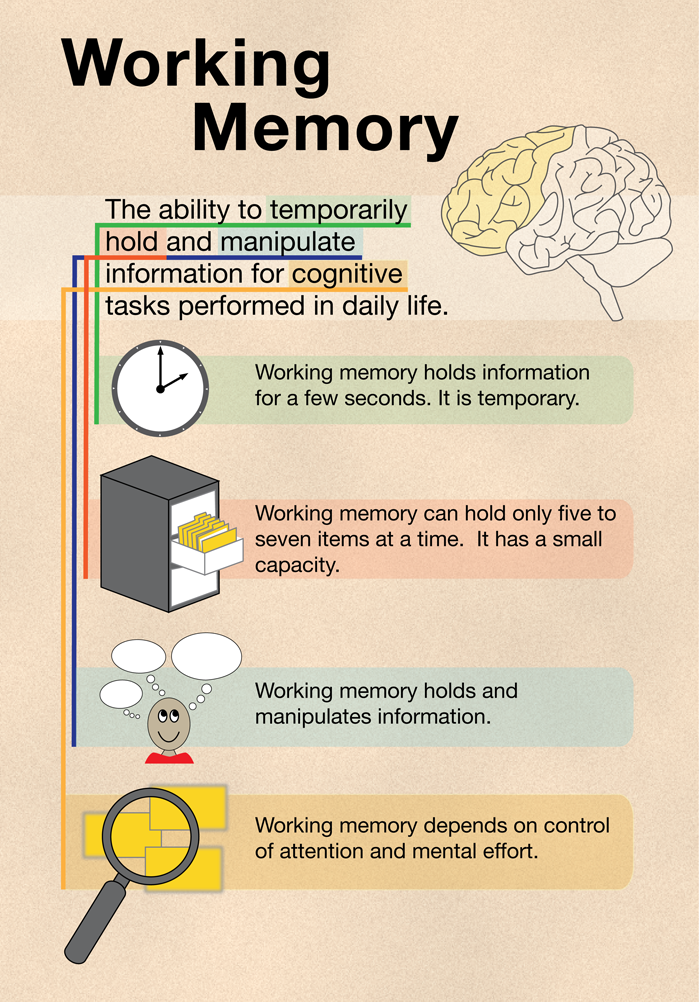 Easy Exercises For Improving Executive Functioning Speech Therapy 