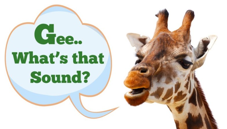 Teaching the sound of letter g